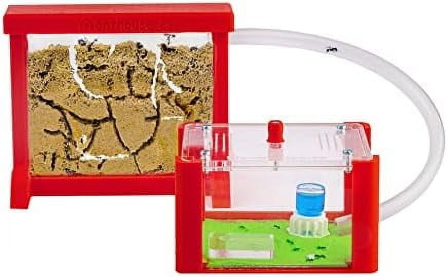 Basic Natural Sand Ant Farm - 3D Ant Terrarium - Acrylic Sandwich-Type ...