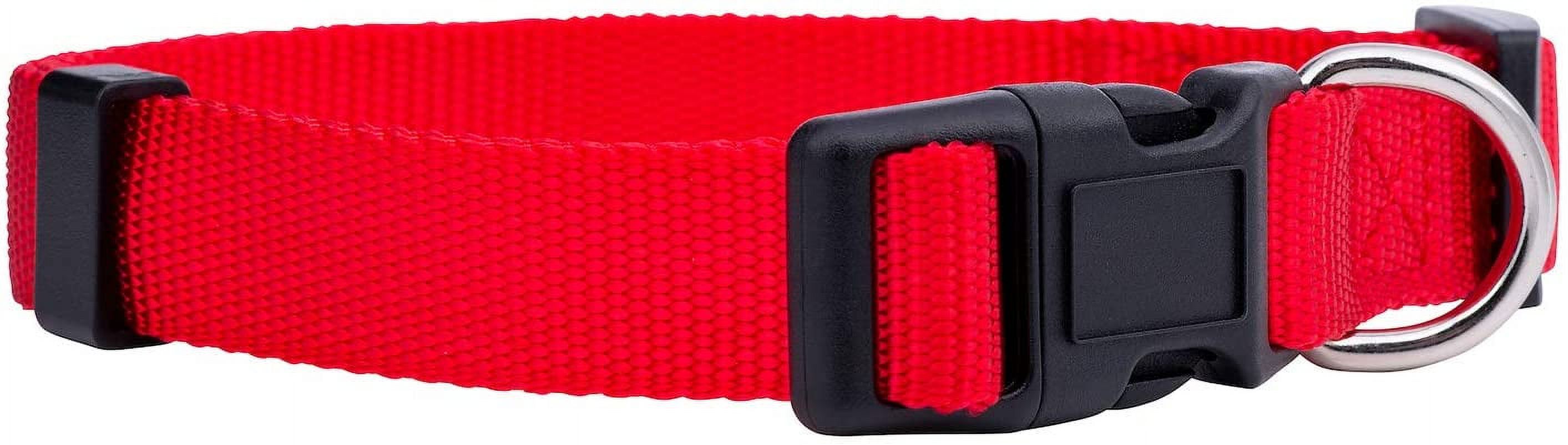Basic Nylon Dog Collar, Adjustable for Small, Medium, Large pet and ...