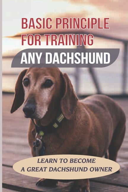 Basic Principle For Training Any Dachshund: Learn To Become A Great ...