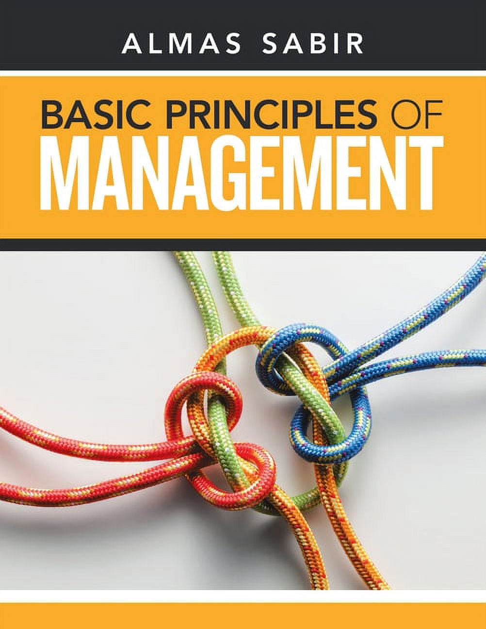 Basic Principles of Management (Paperback) - Walmart.com