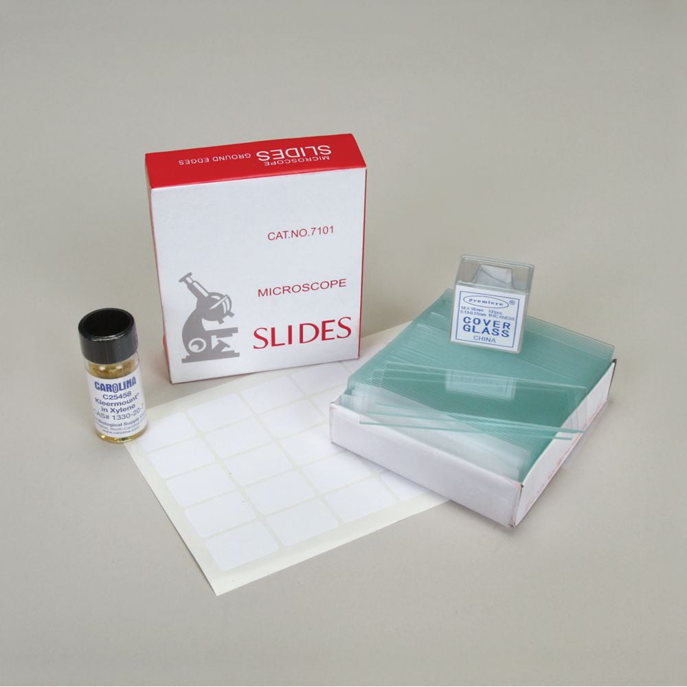 Basic Slide-Making Set, Materials Needed For Making Prepared Microscope ...