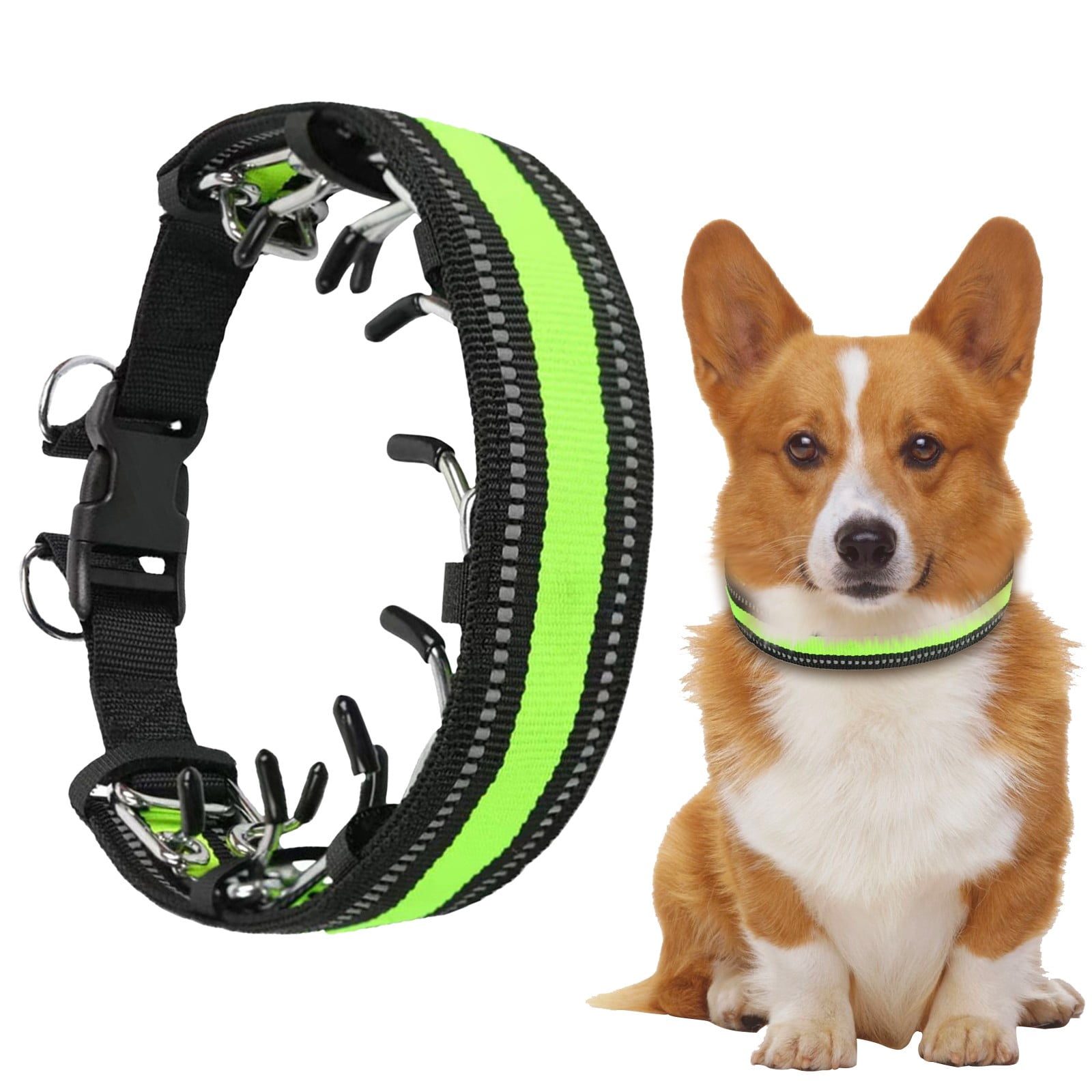Basic Training Dog Collar, Adjustable Nylon Buckle Collar for Small ...