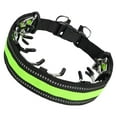 Basic Training Dog Collar, Adjustable Nylon Buckle Collar for Small ...