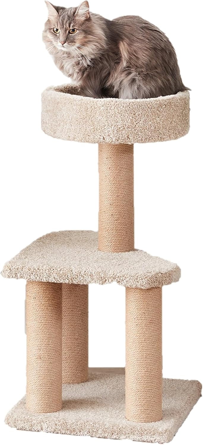 Basics Cat Tree - Indoor Cat & Kittens Multi-Level Climbing Activity Tower with Scratching Posts ...