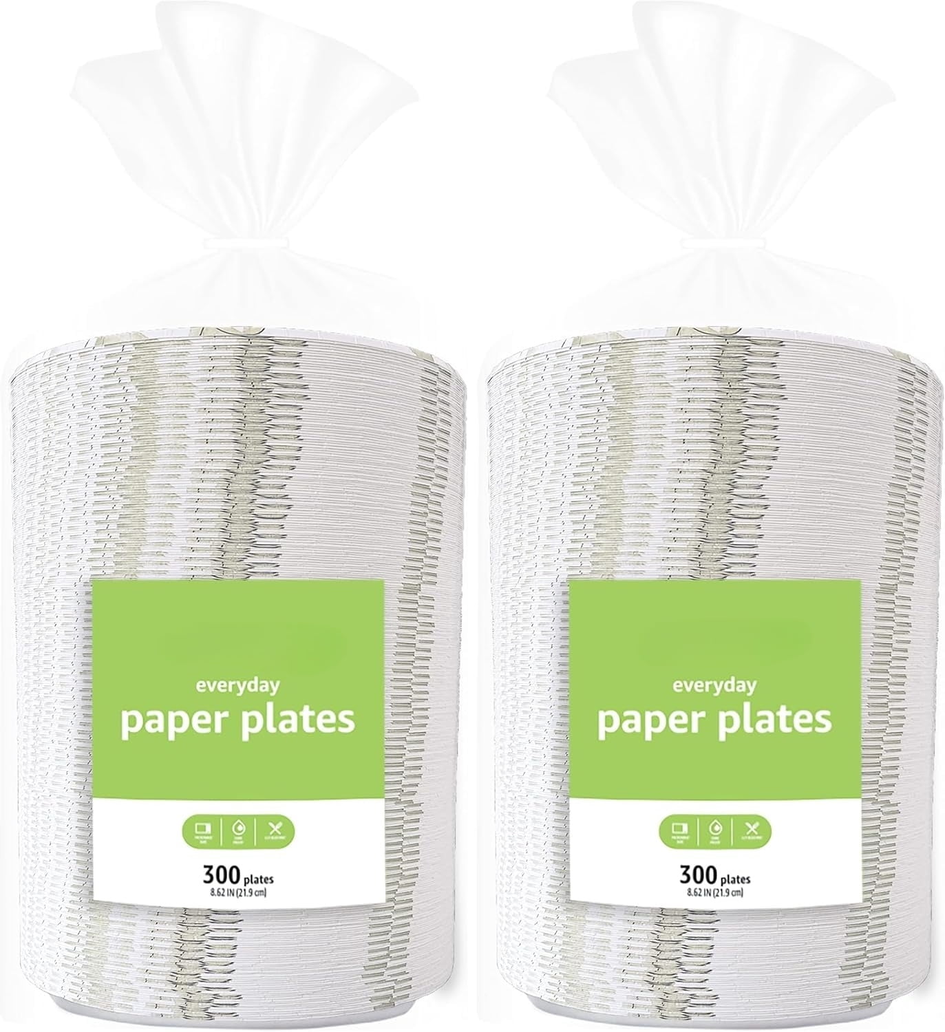 Basics Everyday Paper Plates, 8.62 Inch, Disposable, 100 Count ...