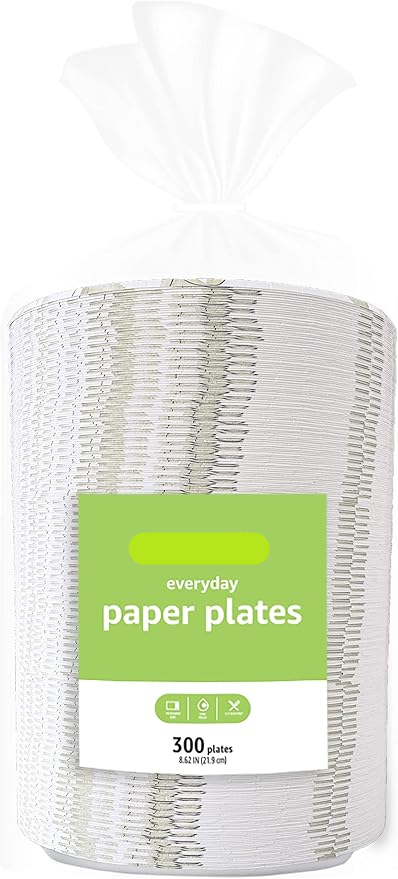 Basics Everyday Paper Plates, 8.62 Inch, Disposable, 300 Count ...