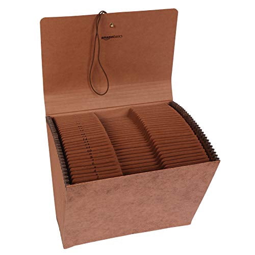 Basics Expanding File Organizer With Flap, Daily Tabs (1-31) - Walmart.com