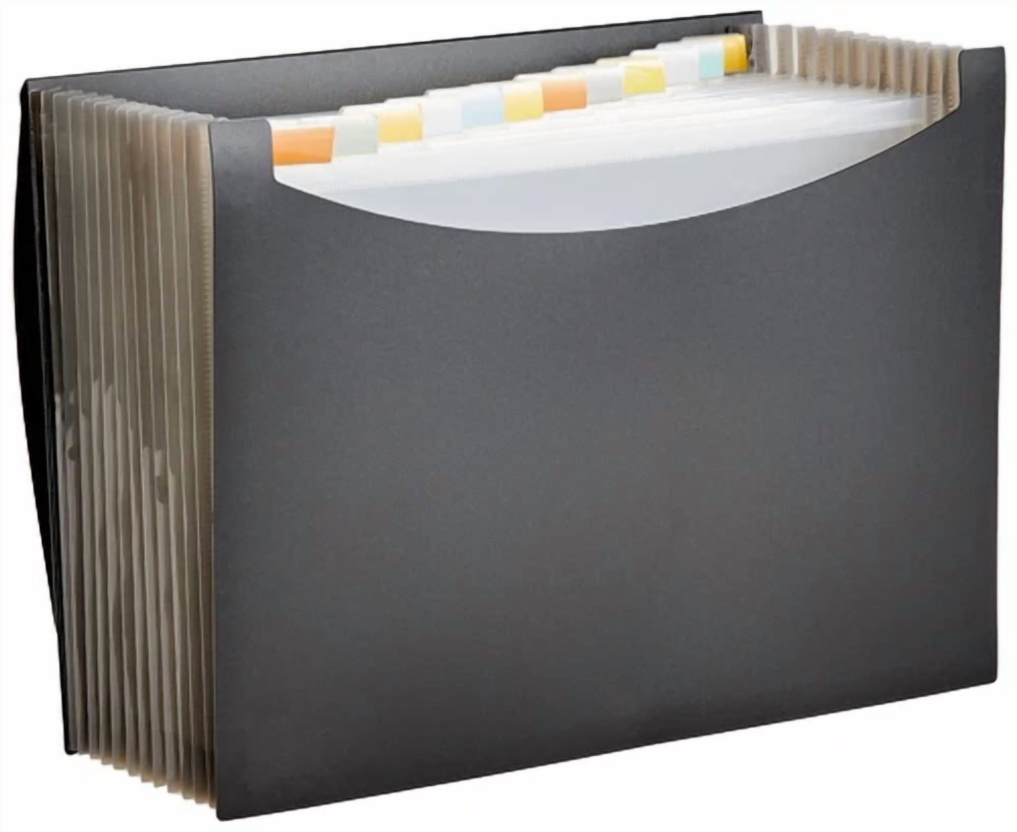 Basics Expanding Organizer File Folder, Letter Size - Black, 1 ...