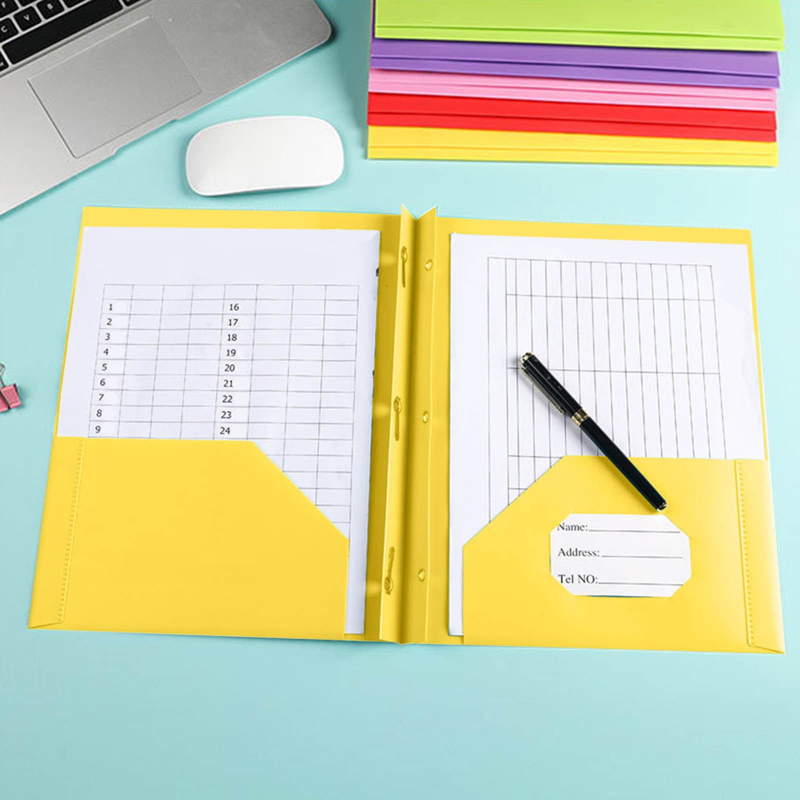 Basics Heavy Duty Colorful Plastic Folder Folders with Pockets and ...