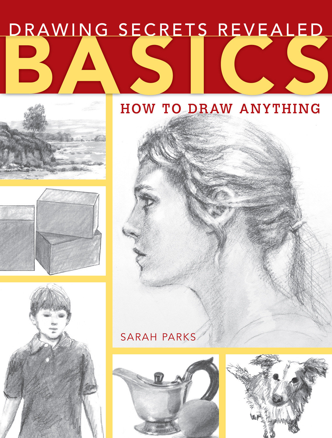 Basics: How to Draw Anything (Drawing Secrets Revealed) - Walmart.com