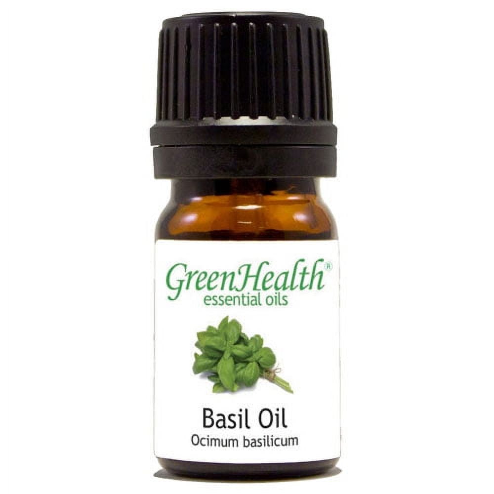 Basil Essential Oil - 5 ml - Amber Glass Bottle w/ Euro Dropper ...