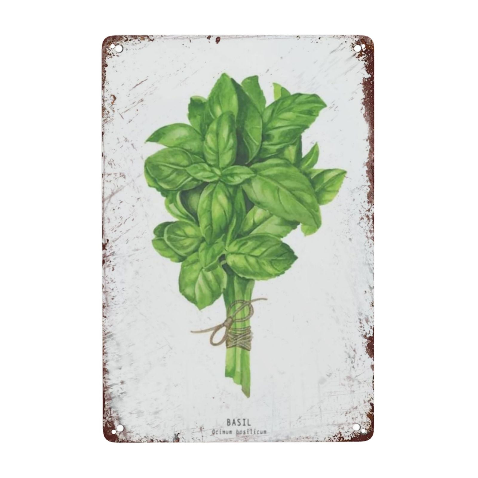 Basil Herb Metal Tin Sign Vintage Home Decor Funny Plants Tin Sign Door ...