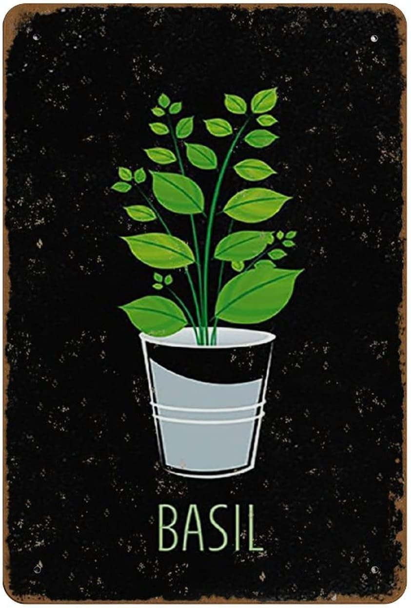 Basil Herbs Kitchen Illustration Graphic Print Herbs Garden Plants ...