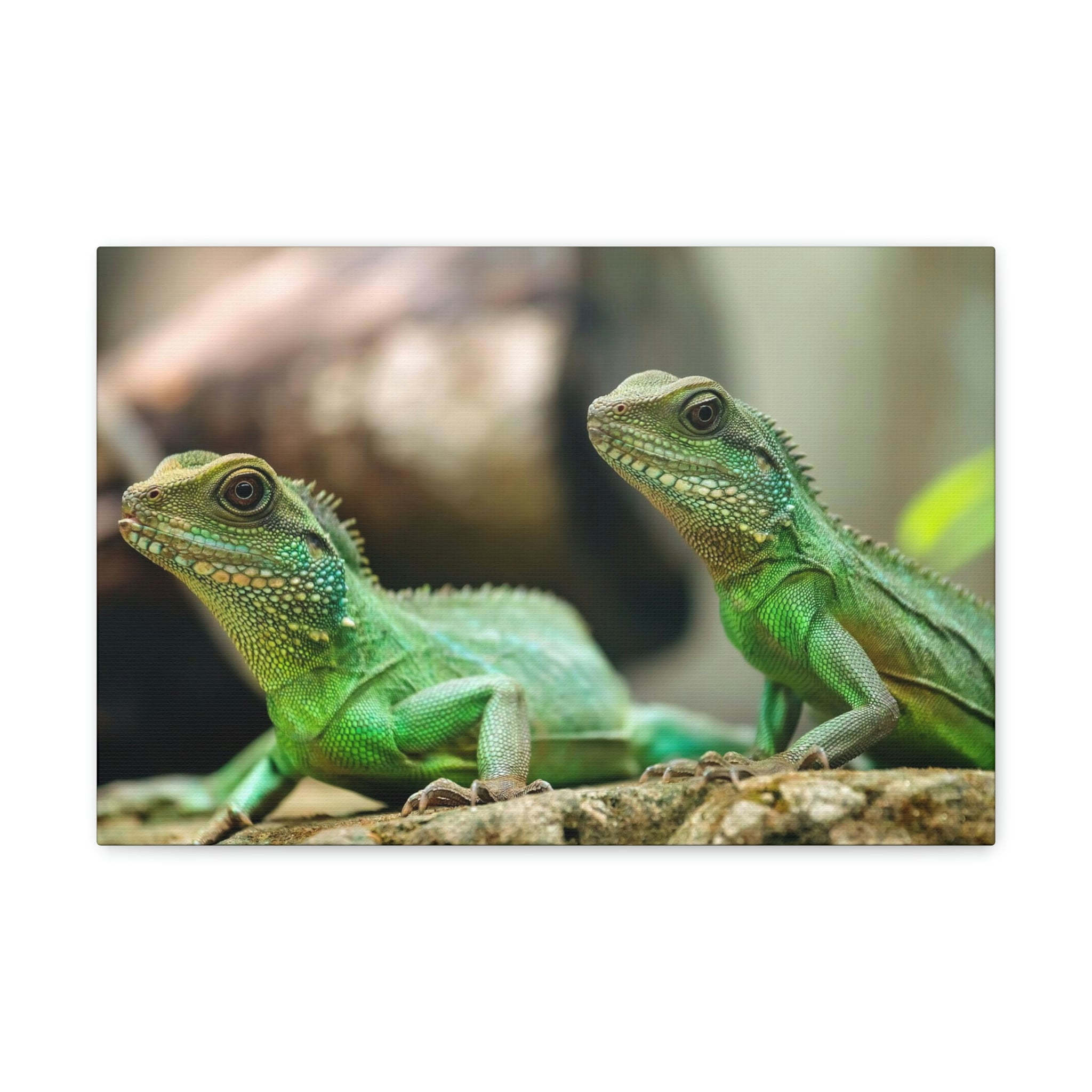 Basilisk Couple Basilisk Troop Print Animal Wall Art Wildlife Canvas ...