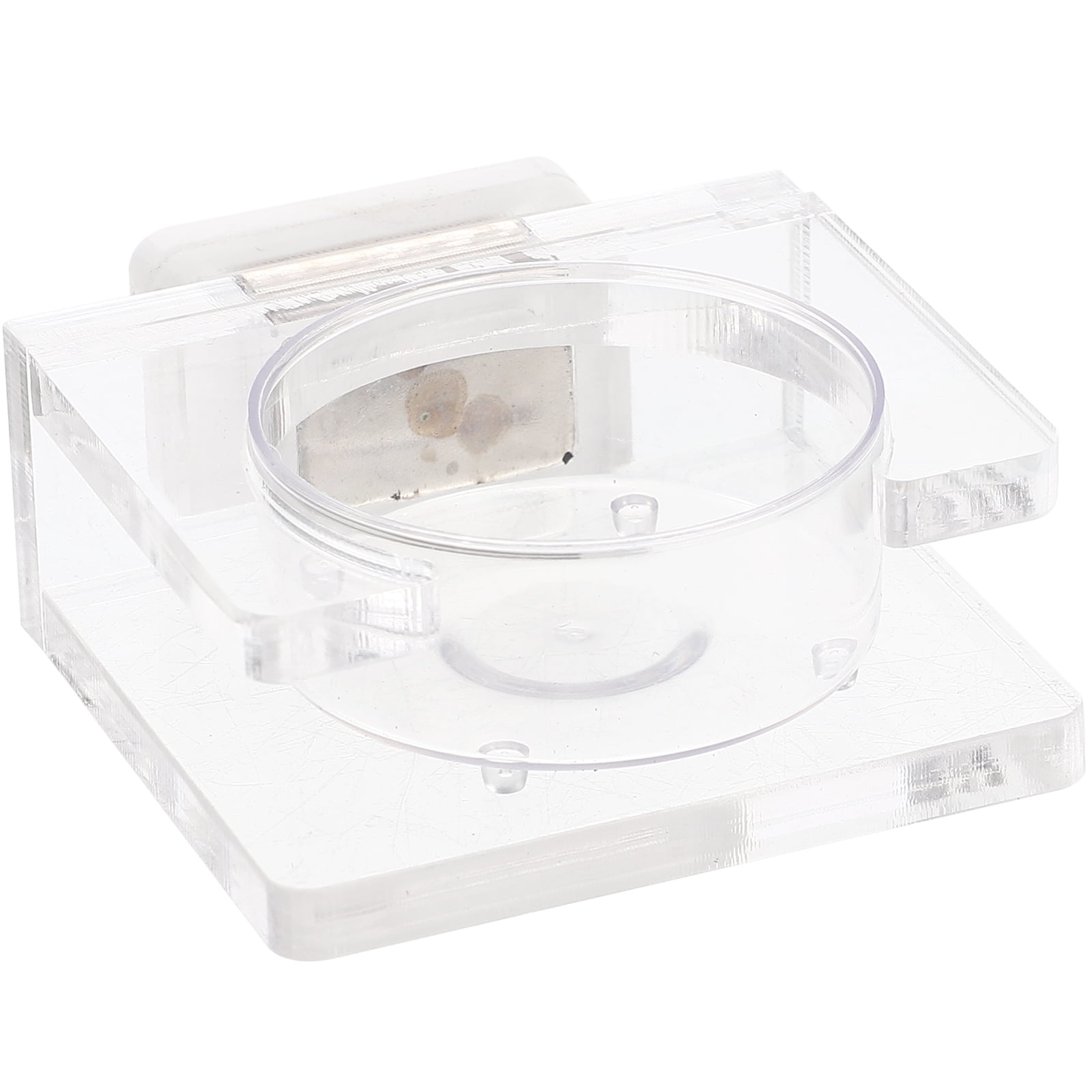 Basin Food Magnet Cup Reptile Feeder Clear Feeding Boxes Bowl Lizard ...