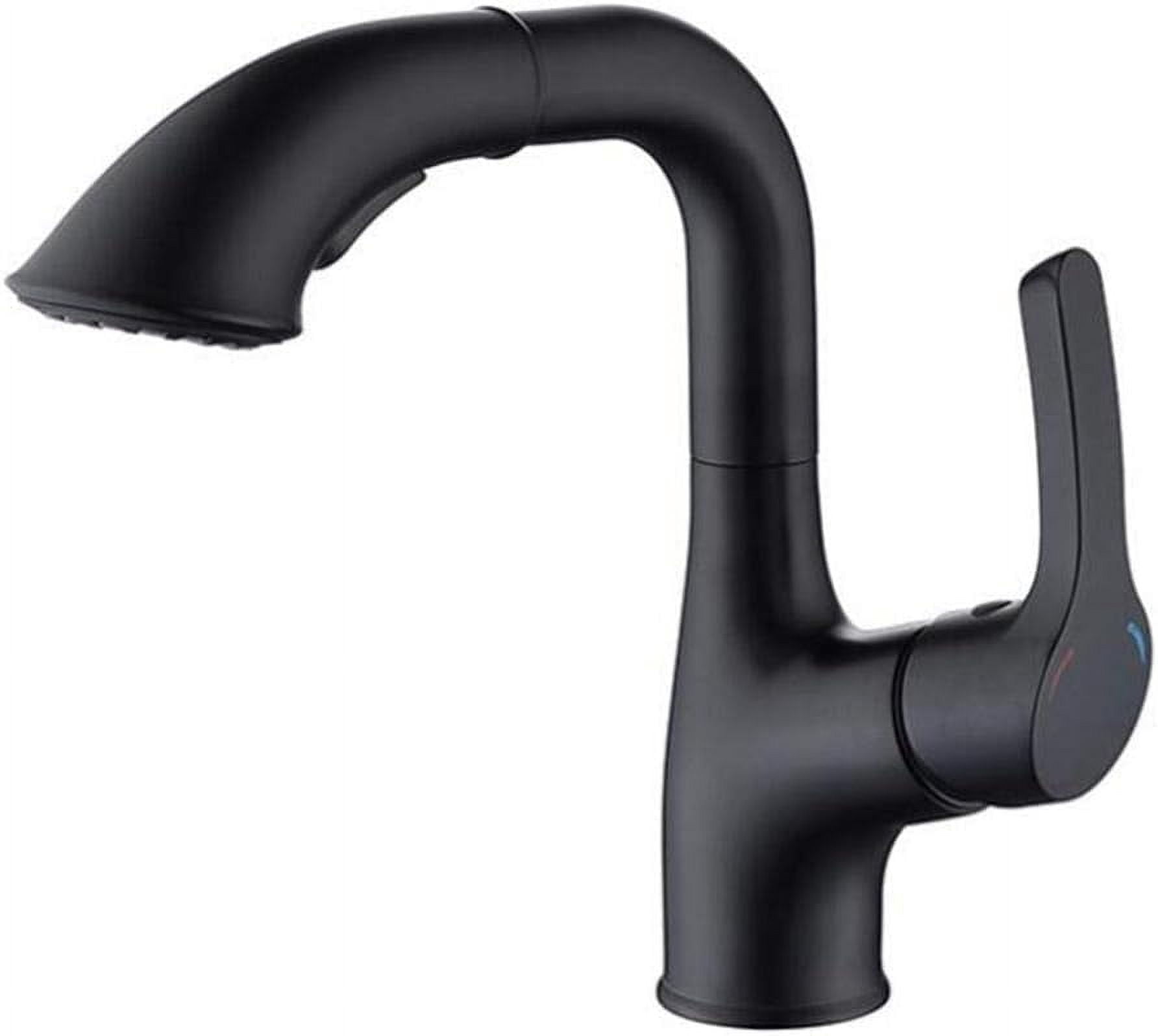 Basin Tap with Pull Out Spray Brass 360° Cleaning Liftable Nozzle Two ...