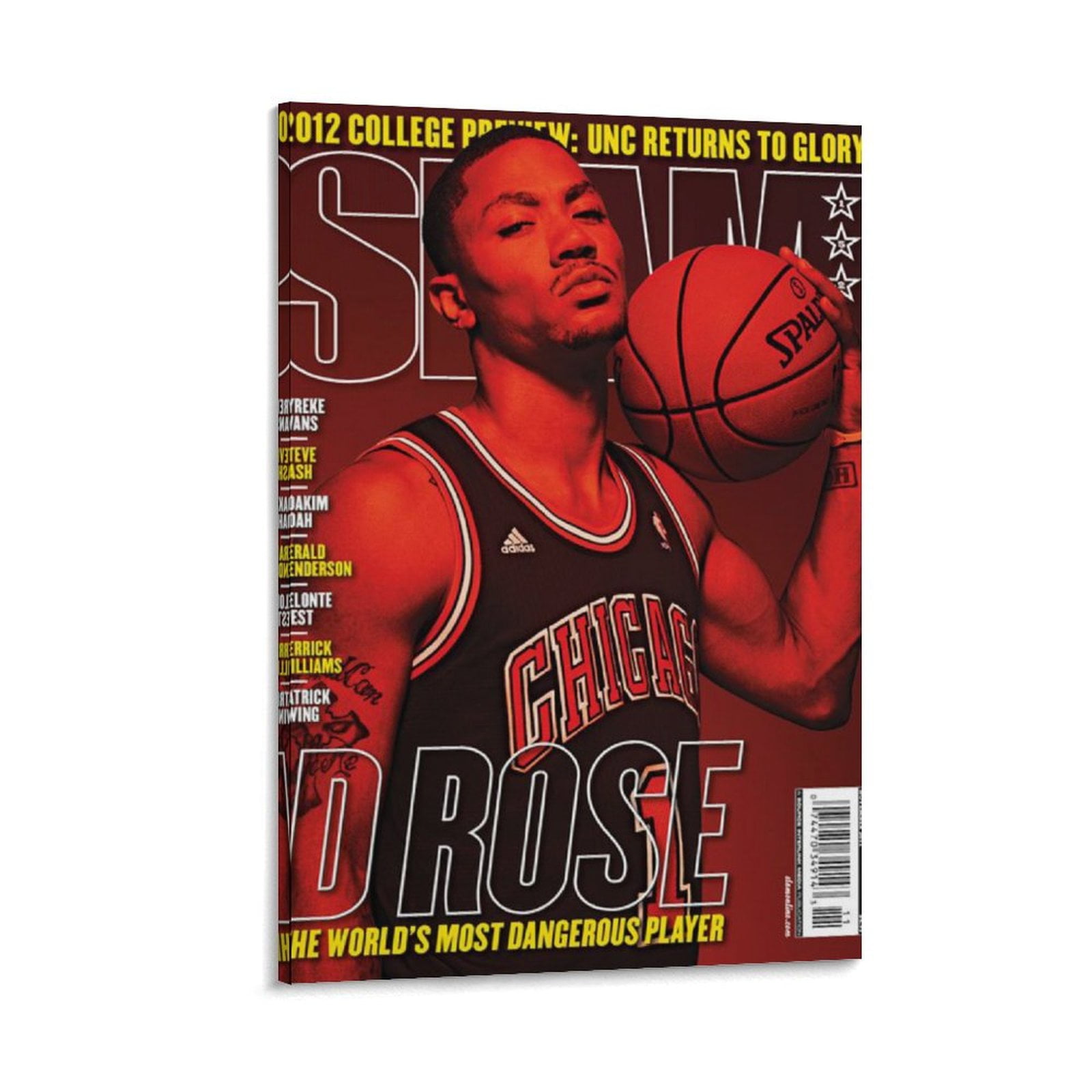 Basketball Player Poster Derrick Rose Picture (21) Poster Cool Artworks ...