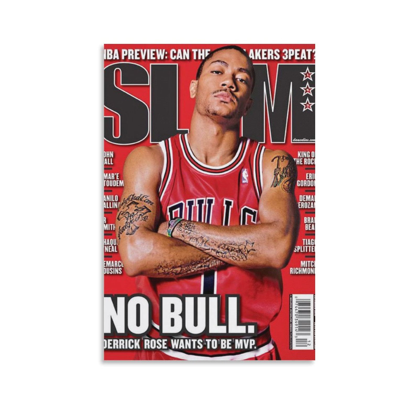 Basketball Player Poster Derrick Rose Picture (51) Posters Wall Art ...