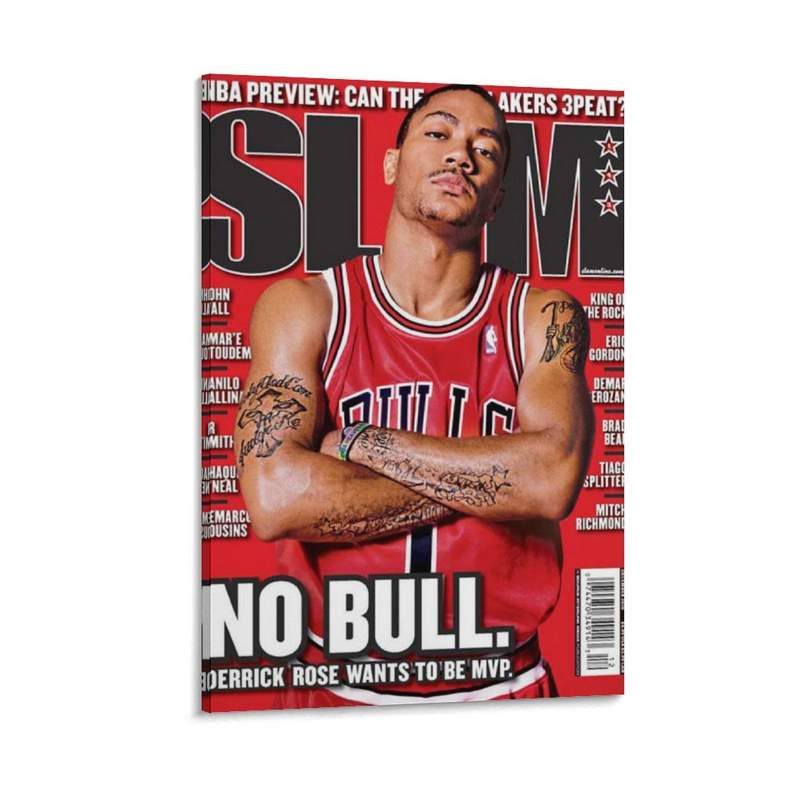 Basketball Player Poster Derrick Rose Picture (51) Print Photo Art ...