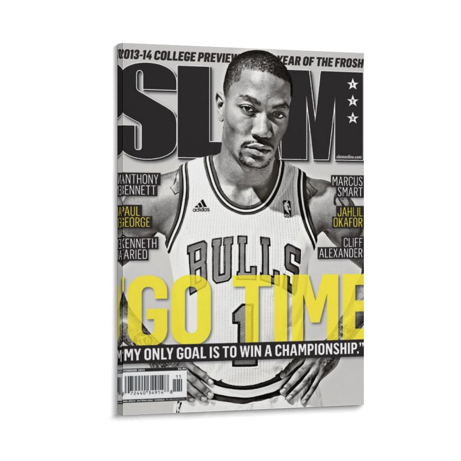 Basketball Player Poster Derrick Rose Picture (60) Picture Print Wall ...