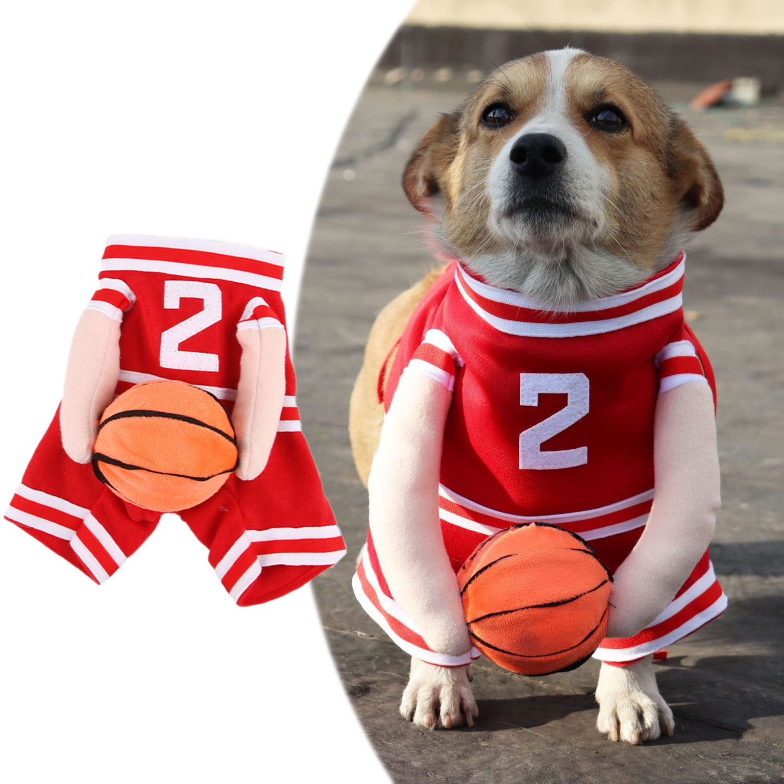 Basketball for Cats and Small to Medium Dogs with Sporty Red Design ...