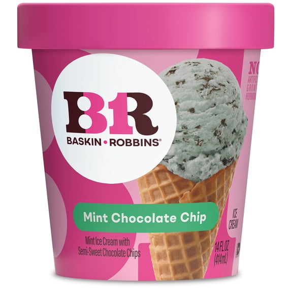 Baskin Robbins Mint Chocolate Chip Ice Cream 14 fl oz Cup Cool Mint ...