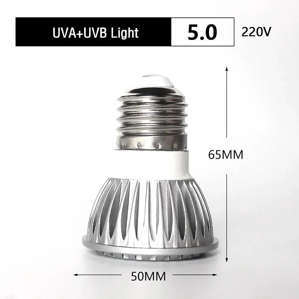 Basking Light Bulb UVA UVB Concave And Convex Mirror Full Spectrum LED ...