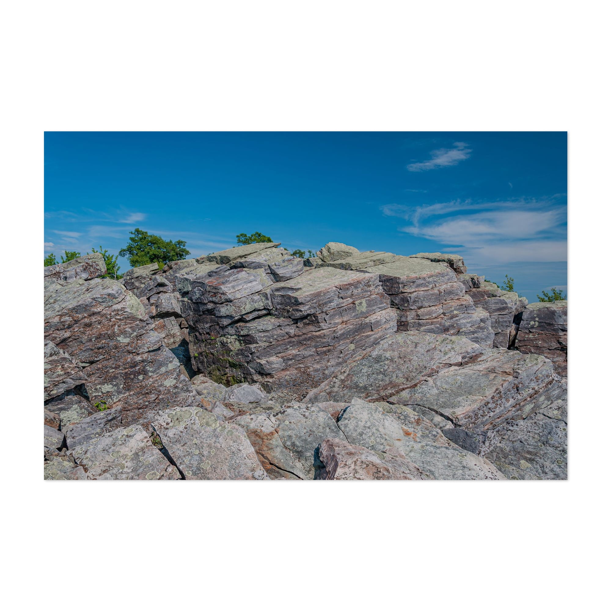 Basking in the Sun on the Summit, Virginia - Virginia Photography ...