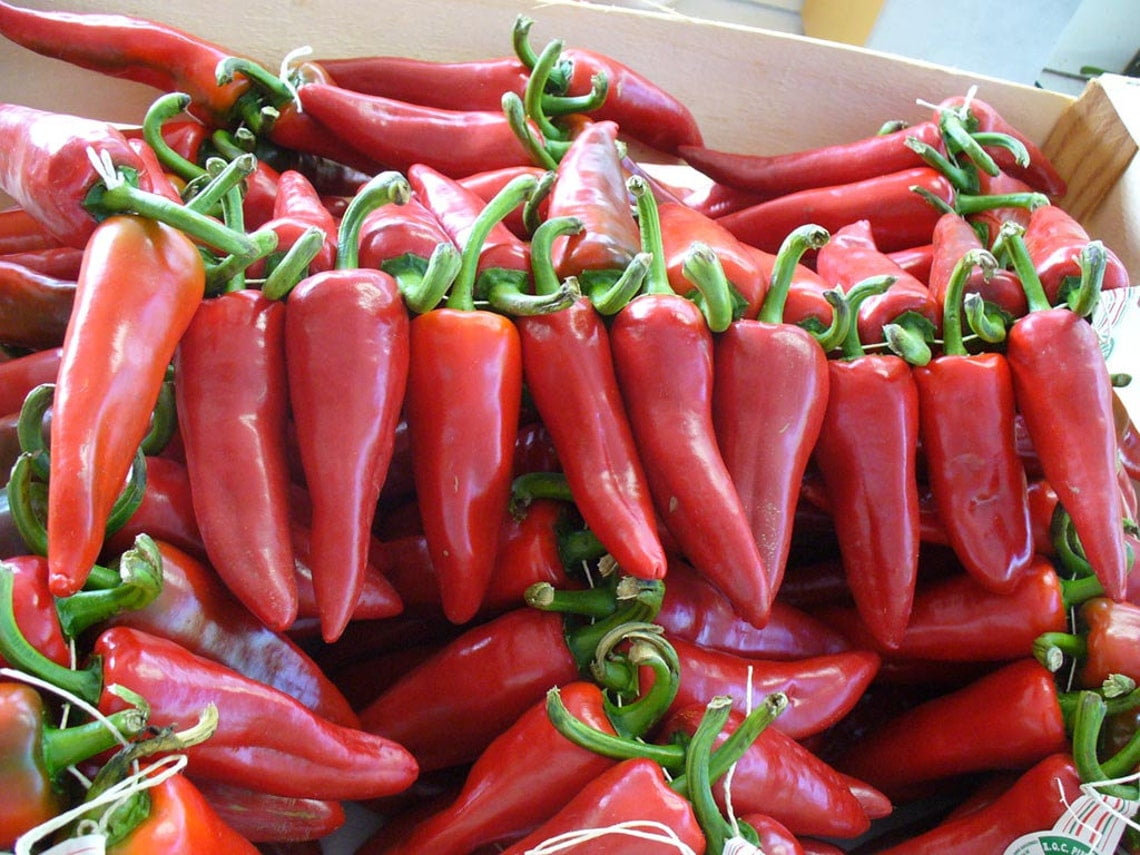 Basque Heirloom Pepper Premium Seeds - Pimento De Espelette from Famous ...