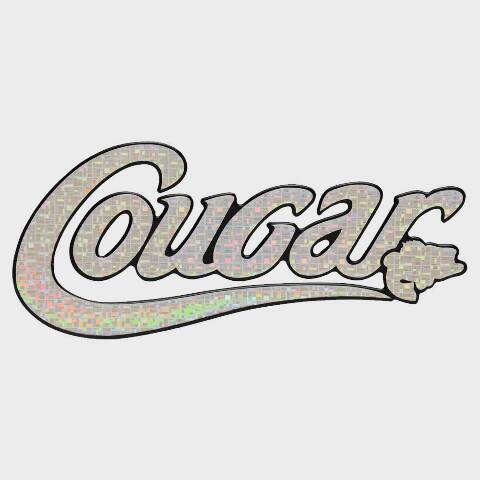 Bass Cat Boat Raised Decal Sticker | Cougar Silver Sparkle - Walmart.com