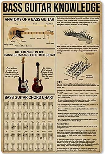 Bass Guitar Knowledge Metal Sign Anatomy of A Bass Guitar Tin Poster ...