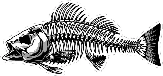 Bass Skeleton Fishing Bones Sticker Decal Pack Of 2 , Cup Mugphone ...