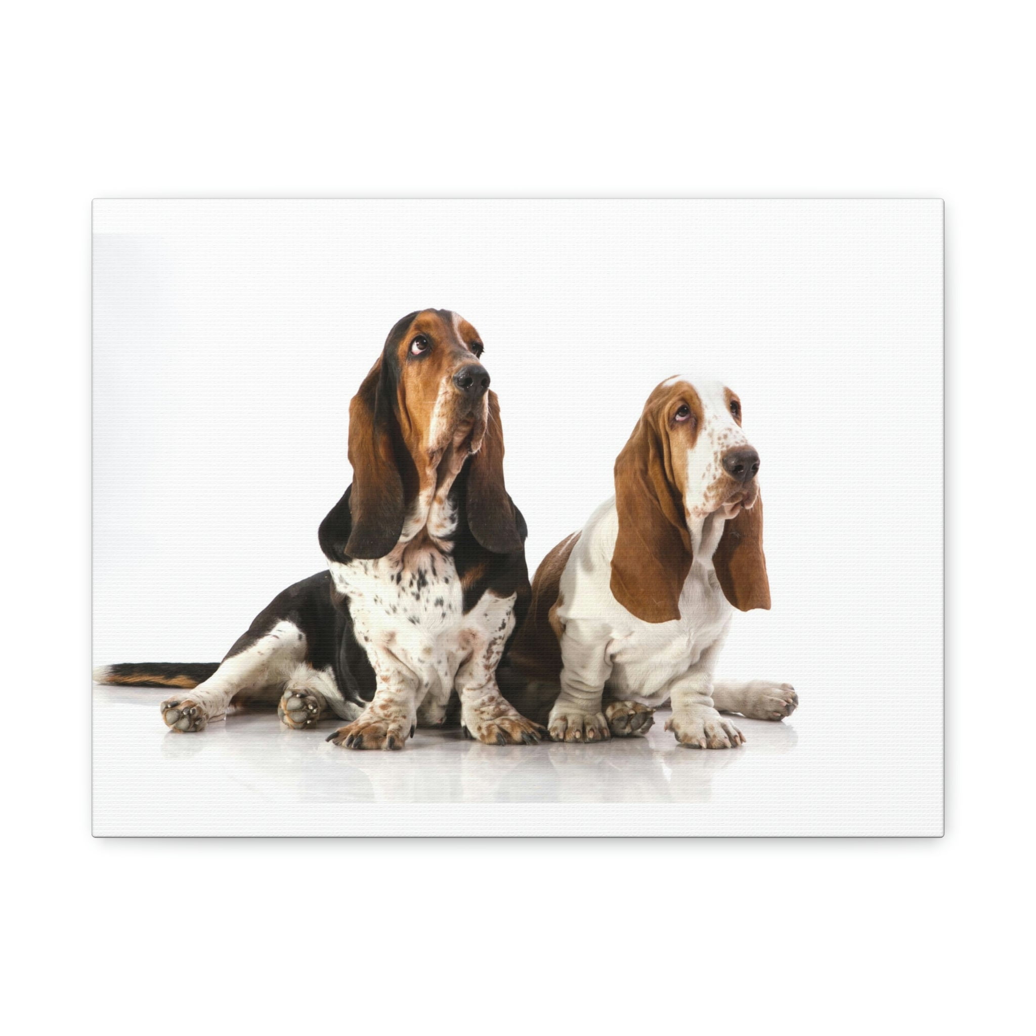 Basset Hound Couple Basset Hound Troop Print Animal Wall Art Wildlife ...