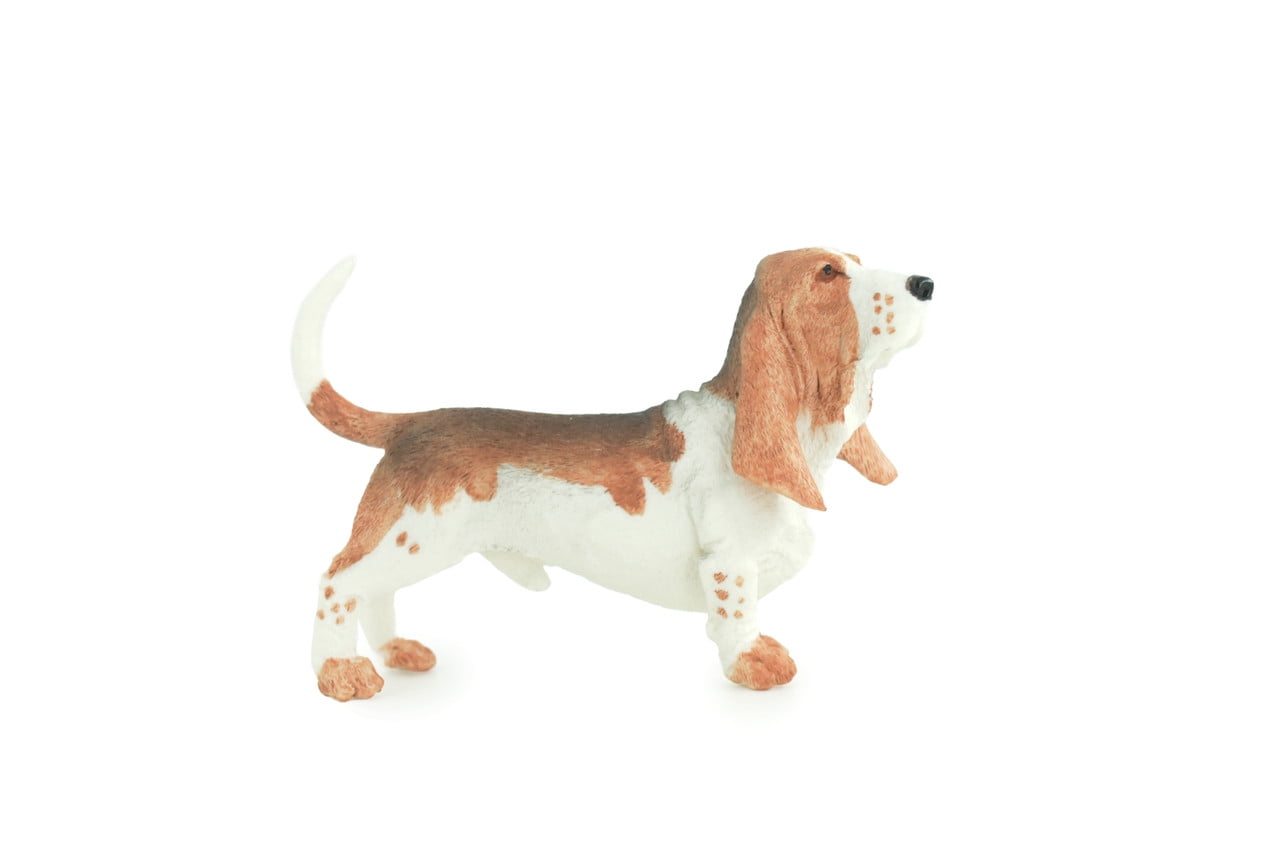 Basset Hound Dog, Hand Painted, Educational, Museum Quality, Realistic ...