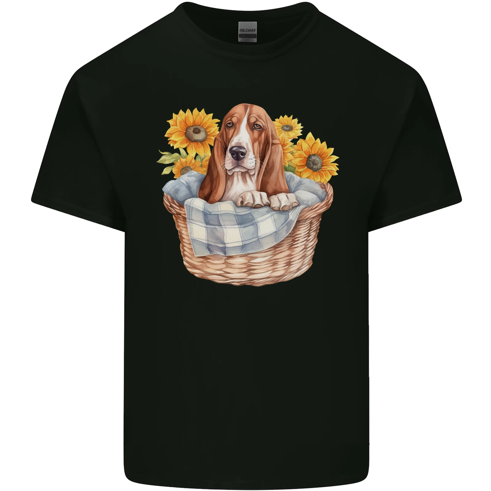 Basset Hound Dog in His Basket with a Cute Portrait for a Pet and H8635 ...