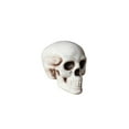 Basysin Halloween! Skeletons Plastic Realistic Fake Simulation Human ...