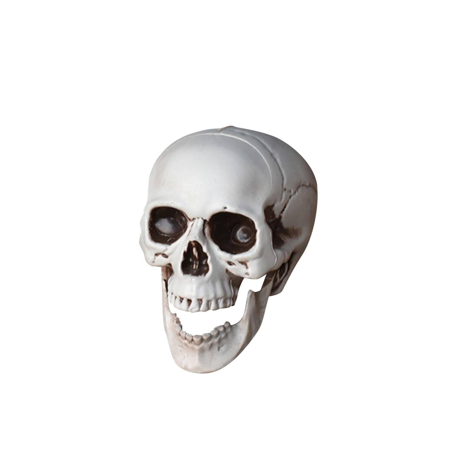 Basysin Plastic Skull Head Halloween Decor,Realistic Life-Size Skeleton ...