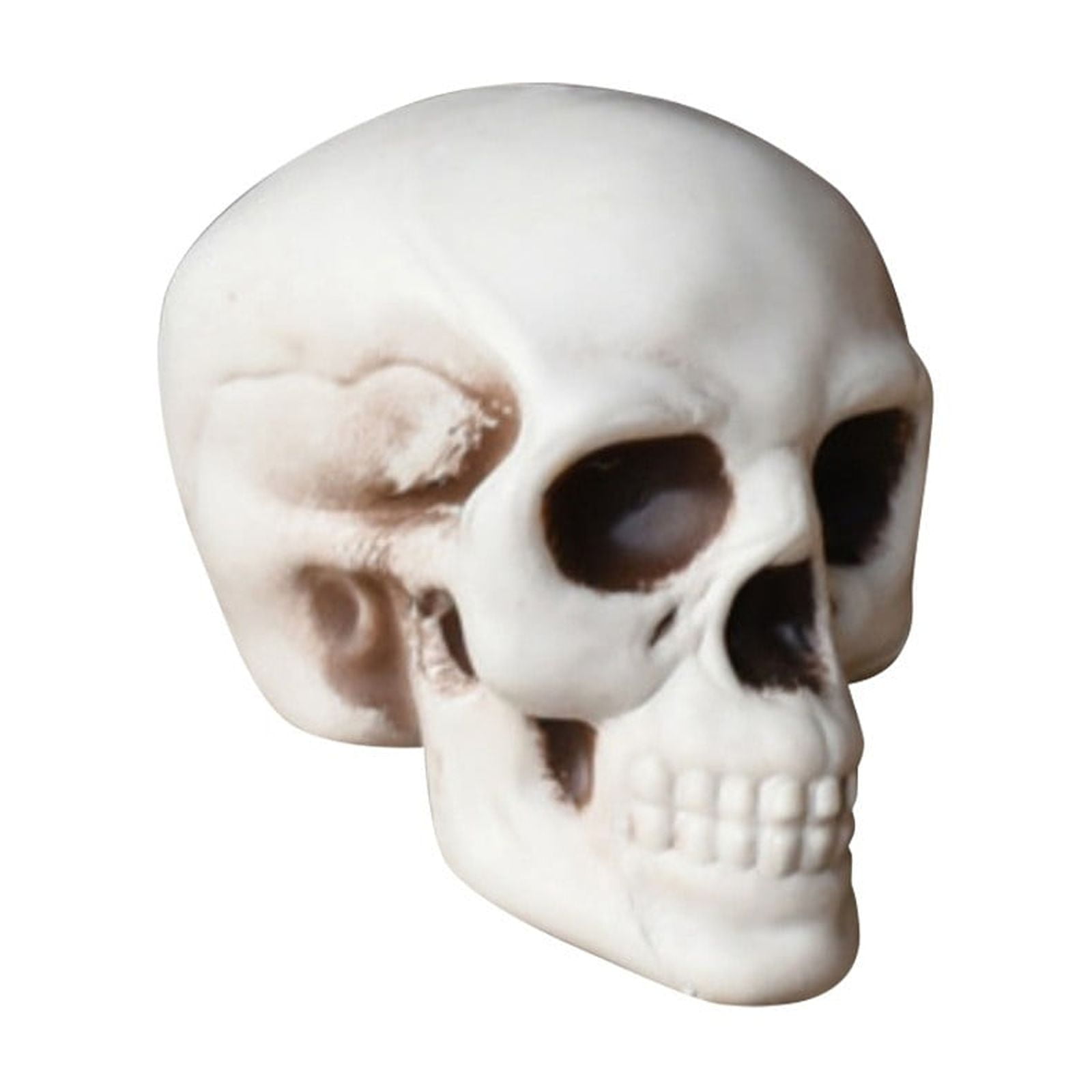 Basysin Plastic Skull Head Halloween Decor | Realistic Life-Size ...