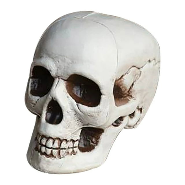 Basysin Plastic Skull Head Halloween Decor, Realistic Life-Size ...