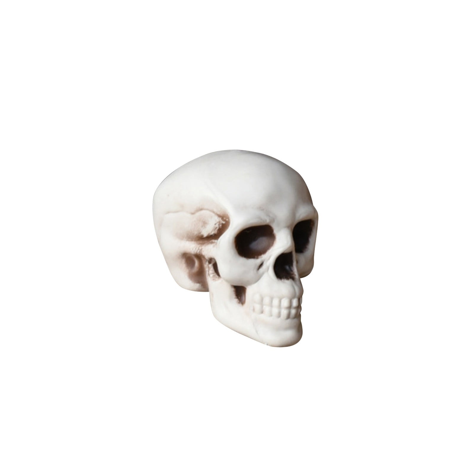 Basysin Skulls Halloween Decor, Halloween Skull, Plastic Realistic ...