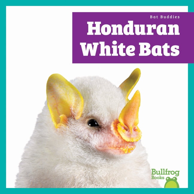 Bat Buddies Honduran White Bats, (Hardcover) - Walmart.com