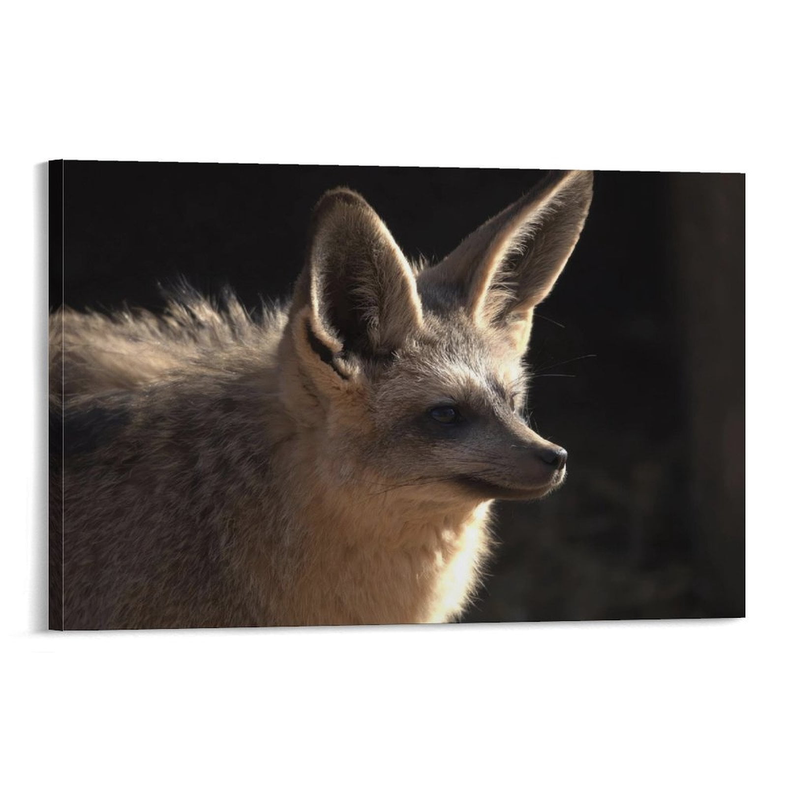 Bat-Eared Fox Cute Animal Posters Wall Art Painting Canvas Gift Living ...
