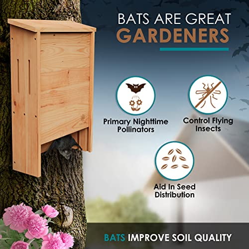 Bat Houses for Outdoors with Improved Airflow to Both Chambers - Bat ...