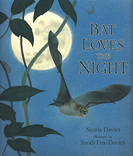Pre-Owned Bat Loves the Night Paperback - Walmart.com
