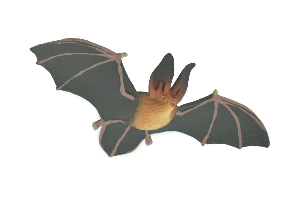 Bat, Townsend's Big-eared Bat, Museum Quality, Hand Painted, Realistic ...