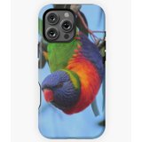 Bat bird M15118 Phone case for iPhone 11 to 16 Pro Max - Walmart.com