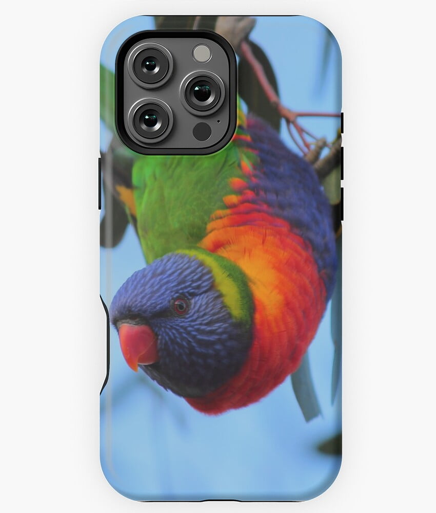 Bat bird M15118 Phone case for iPhone 11 to 16 Pro Max - Walmart.com