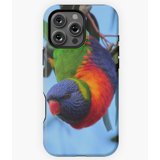 Bat bird M15118 Phone case for iPhone 11 to 16 Pro Max - Walmart.com