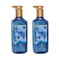 Bath & Body Works Gel Hand Soap 2-Pack, Frozen Lake Scent, 8 Fl Oz Each ...
