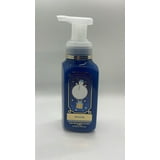 Bath & Body Works WINTER Gentle Foaming Hand Soap 8.75 fl oz - Walmart.com